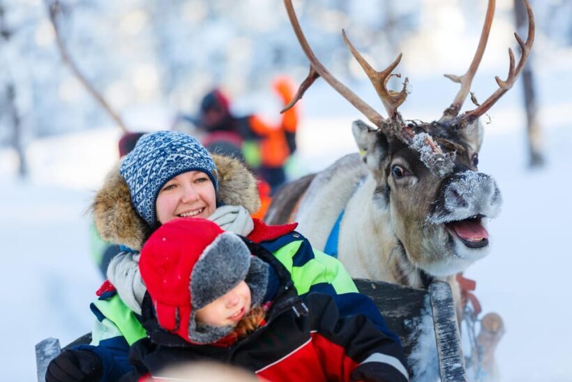 Levi: Reindeer Sleigh Ride Tour in Snowy Forest - Final Thoughts