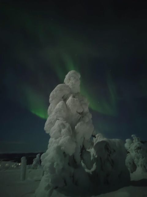 Levi: Search for Northern Lights in snowmobile sleigh - Key Points