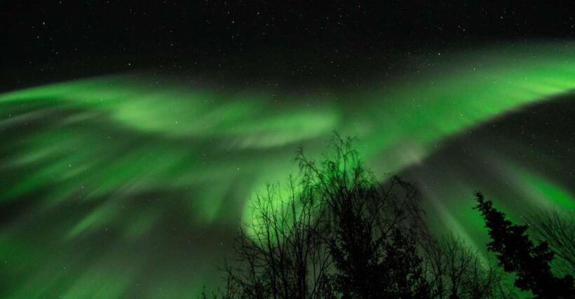 Levi: Search for Northern Lights in snowmobile sleigh - Overview of the Tour Experience