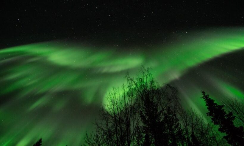 Levi: Search for Northern Lights in snowmobile sleigh - Authenticity and Practical Details