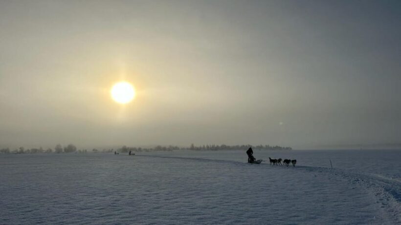Levi: Self-Drive 5 KM Husky Sledding Experience - What’s Included and What to Consider