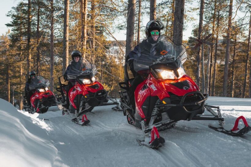 Levi: Snowmobile Safari for Adults - Pricing and Value
