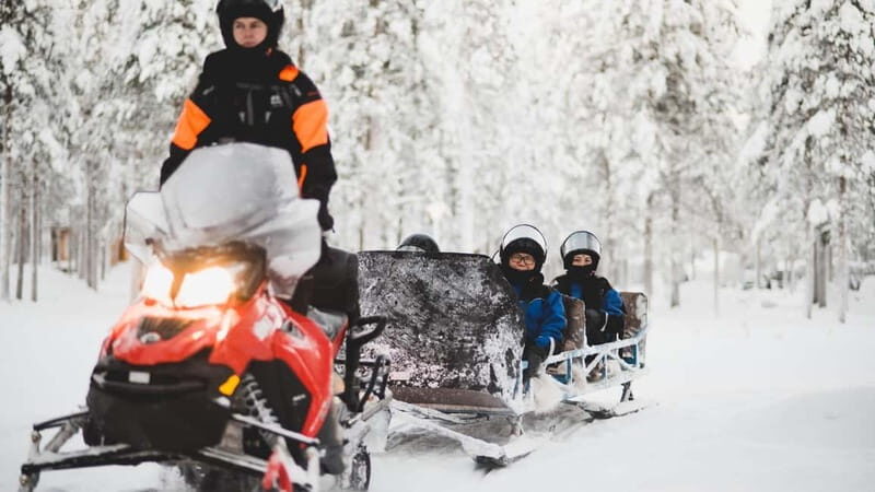 Levi: Snowmobile Safari to the Levi Nature - Experience Overview