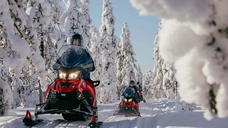 Levi: Snowmobile Safari to the Levi Nature - Authenticity and Quality