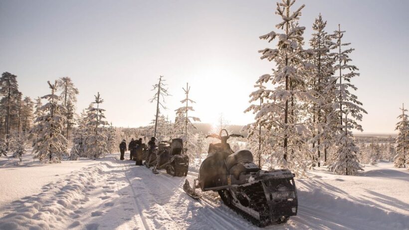 Levi: Snowmobile Safari to the Levi Nature - Who Will Love This Tour?