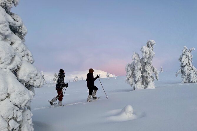 Levi: Snowshoeing Adventure in the National Park - Capturing the Scenic Landscapes
