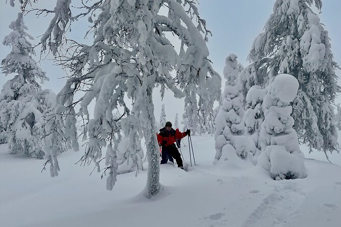 Levi: Snowshoeing Adventure in the National Park - Staying Safe on the Trek