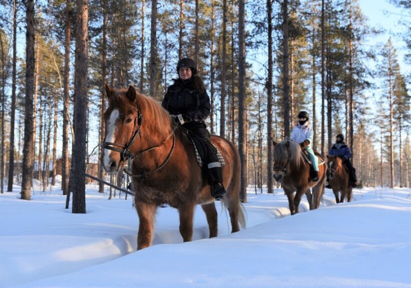 Levi: Snowy Forest Ride and Polar Lights Tours - A Complete Guide to the Levi Snowy Forest Ride and Polar Lights Tours