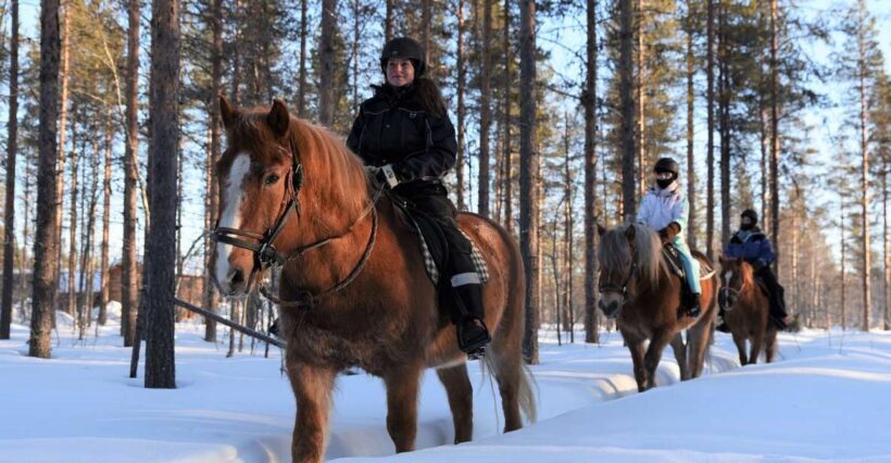 Levi: Snowy Forest Ride and Polar Lights Tours - FAQs