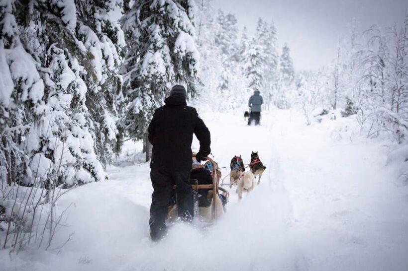 Levi: Winter Highlights Family Day - Who Is This Tour Best For?