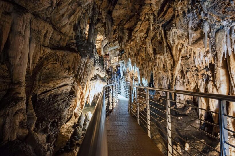 Levigliani: Visit In The Cave Antro del Corchia - Who Should Consider This Experience