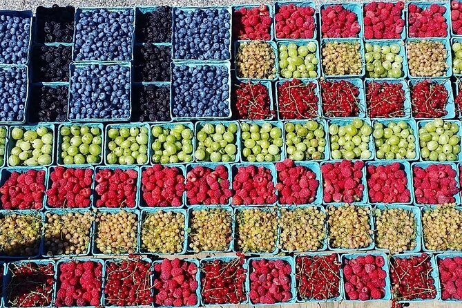 Lewin Farms, Lavender By The Bay and Tanger Outlets Full-Day Tour - A Closer Look at the Itinerary