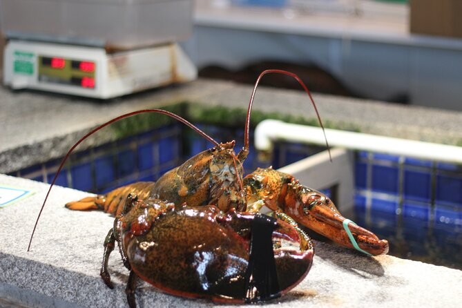 Lexington & Concord 250th Birthday Tour with Concord Museum Entry - What Its Like to Experience This Tour