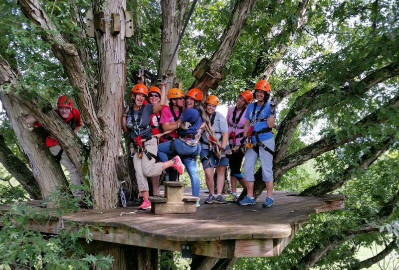 Lexington: Fully Guided Zipline Canopy Tour - The Value of the Experience