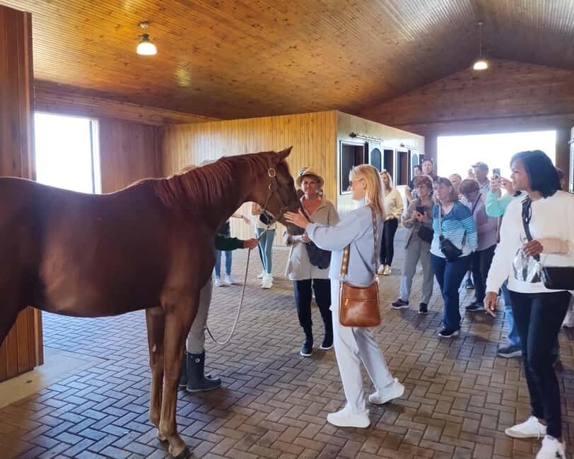 Lexington: Thoroughbred Horse Farm Tour and Scenic Bluegrass - Introduction to the Experience