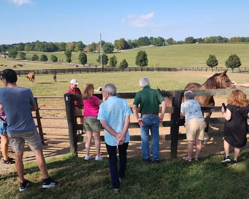 Lexington: Thoroughbred Horse Farm Tour and Scenic Bluegrass - The Value for the Price