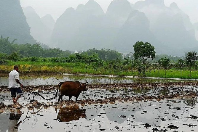 Li River Bamboo boat Cruise & Yangshuo Village private day tour - Practical Tips for Travelers