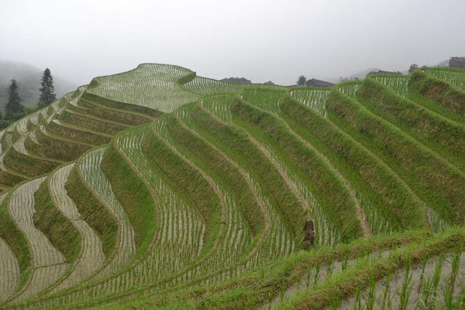 Li River Cruise Ruyi Peak via Ropeway Day Tour - The Sum Up