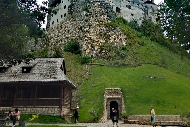 Libearty Bear Sanctuary and Dracula's Castle Review - Tour Guide Expertise