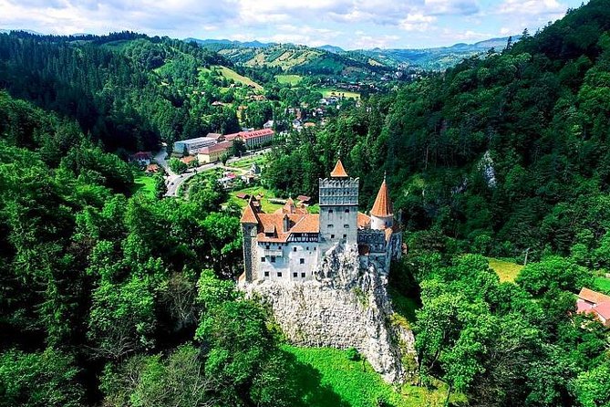 Libearty Bear Sanctuary and Dracula's Castle Review - Travel Logistics and Accessibility