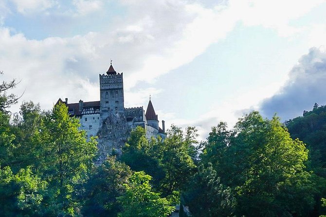 Libearty Bear Sanctuary and Dracula's Castle Review - Supporting the Sanctuary
