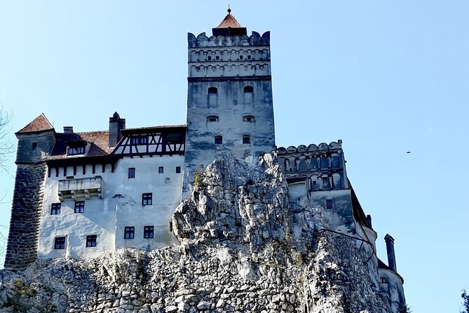 Libearty Bear Sanctuary and Dracula's Castle Review - Overall Impressions and Recommendations