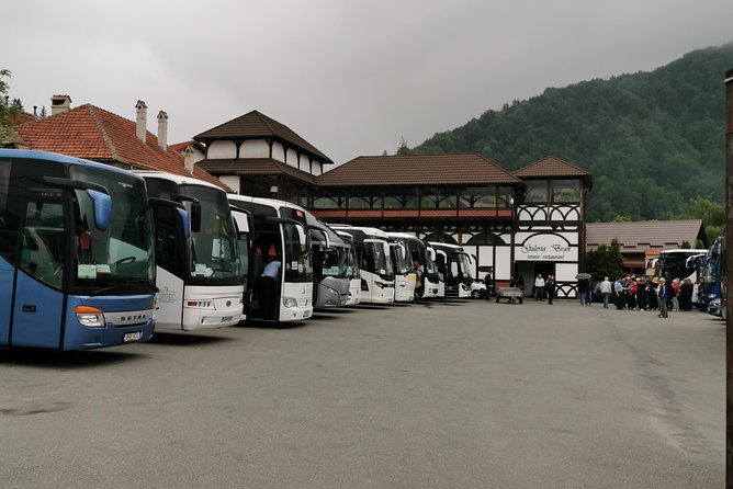 Libearty Brown Bears Sanctuary & Fun with ATV or Buggy Quad Tour - Who Will Benefit Most?