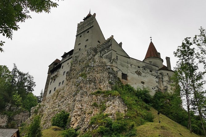 Libearty Brown Bears Sanctuary & Fun with ATV or Buggy Quad Tour - FAQ