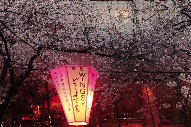 Licensed Guide Tokyo Meguro Cherry Blossom Walking Tour - Duration and Activities