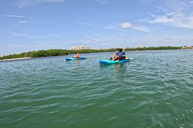 Lido Key Pedal Kayak Tour in Sarasota - Guided Insights and Interactions