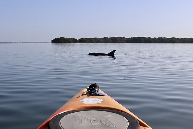 Lido Key Pedal Kayak Tour in Sarasota - Suitability for Families