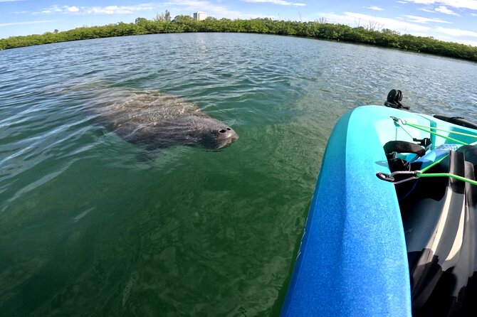 Lido Key Pedal Kayak Tour in Sarasota - Booking and Availability