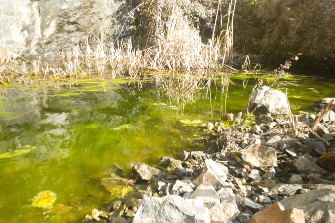 Lievàntu Wine Experience - Discovering the Lievàntu Wine Experience: A Balanced Look at a Taste of Levanto