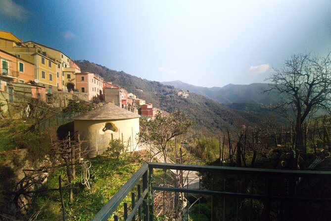 Lievàntu Wine Experience - FAQs