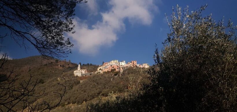 Lievàntu Wine Experience: Tour & tasting in Levanto Valley - Who Will Love This Tour?