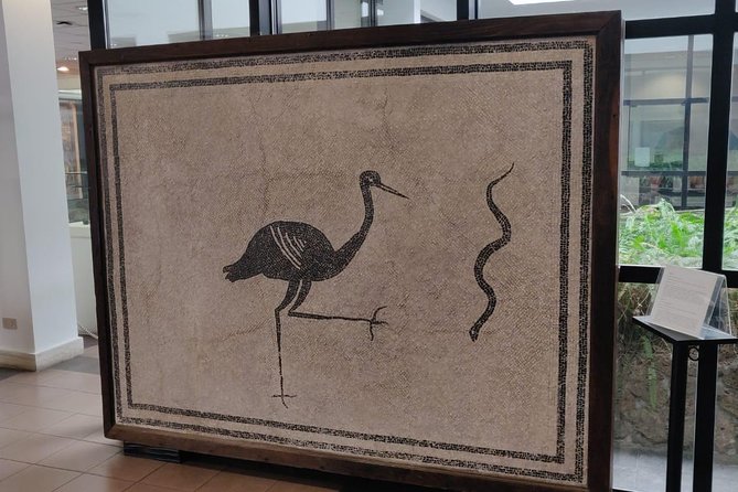 Lifestyle of The Ancient Rich: Domus & Villa in Pompeii, Oplontis and Boscoreale - Who Should Consider This Tour?