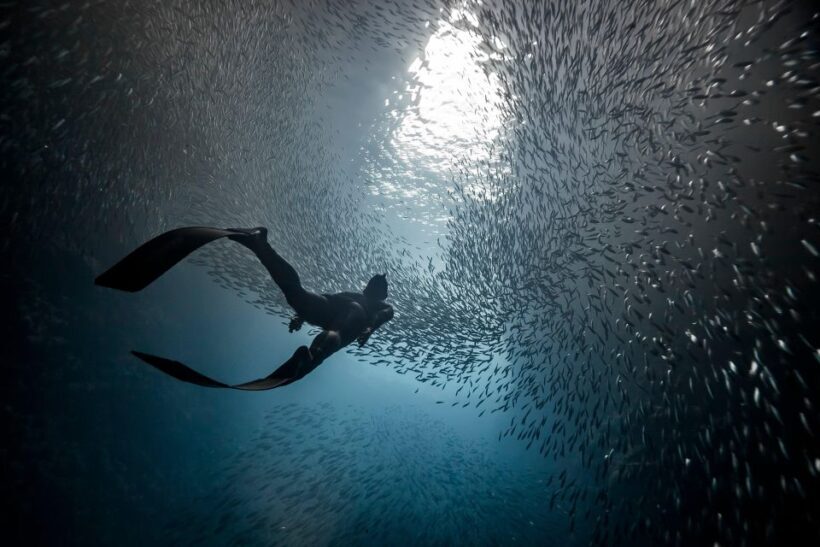 Ligaria Beach: Discover Free Diving (Apnea) - An In-Depth Look at Ligaria Beach: Discover Free Diving (Apnea)