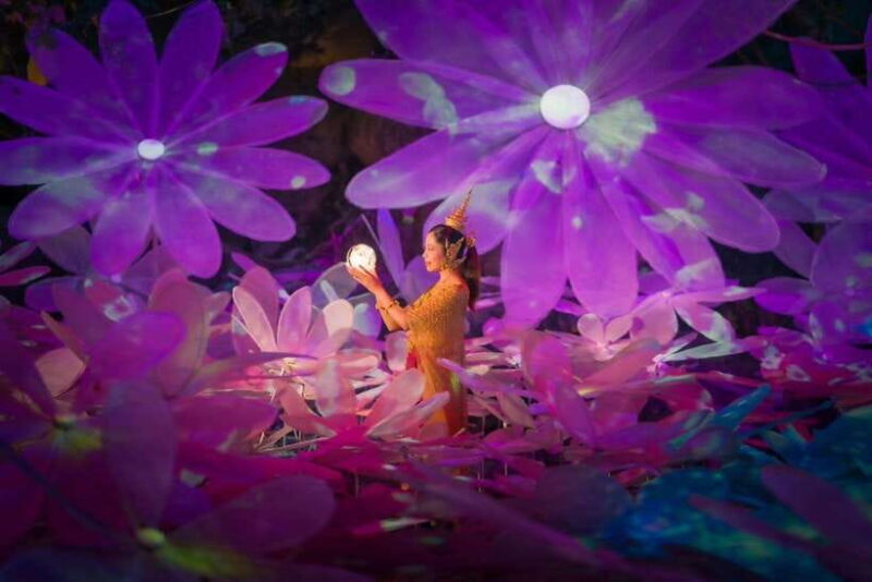 Light Festival at Na Satta Park: Magical Once-a-Year Moment - Final Thoughts: The Tour’s Value and Appeal