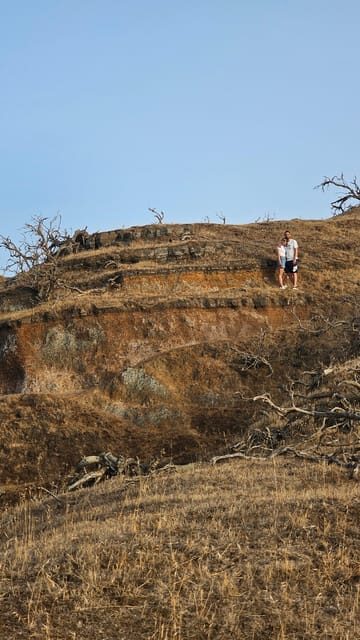 Light Hike with Local Guide - What Reviews Say About This Tour