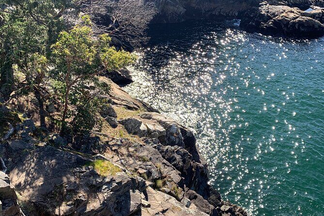Lighthouse Park Hike - FAQ