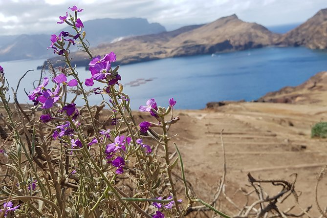 Lighthouse View 3 (Cais Do Sardinha, Lighthouse and Return to Cais Do Sardinha) - Frequently Asked Questions