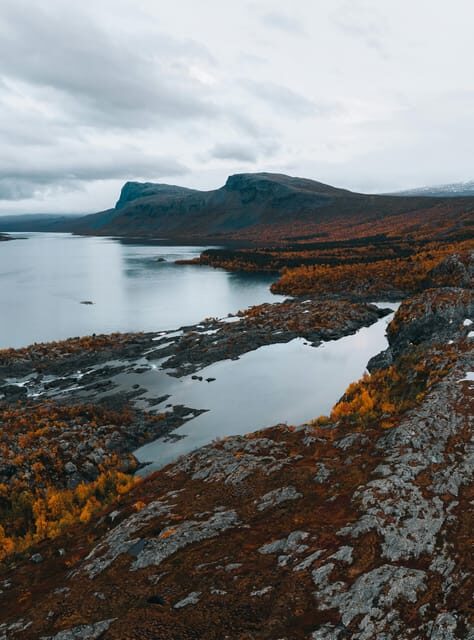 Lightweighted walk through wild Arctic Nature - An In-Depth Look at the Arctic Wilderness Tour