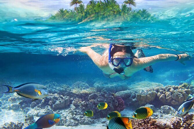 Lihaga Island (white sand island) swimming twice, including lunch and tickets - The Value of the Experience