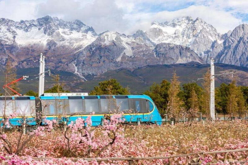 Lijiang: Jade Dragon Snow Mountain with Scenic Train Tour - What to Expect on This Tour