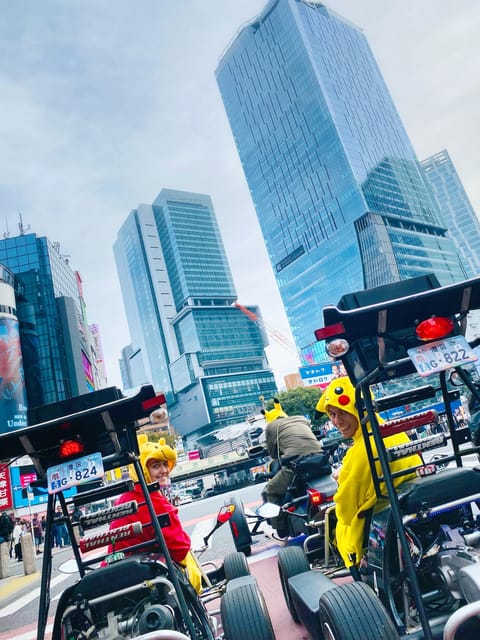 Like a Hero! Exploring Around Tokyo ( Idp&Passport Required) - Panoramic View of Tokyo Tower