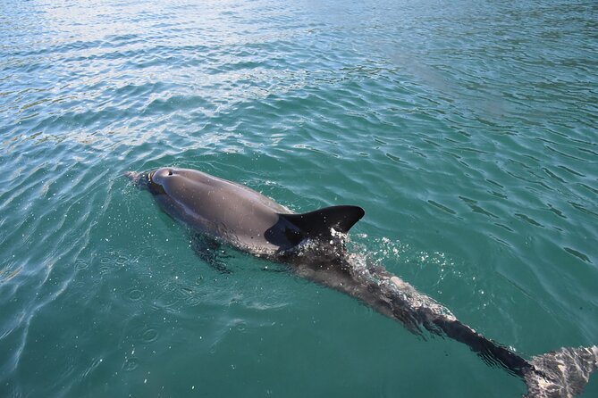 Lim Bay Outrigger Canoe Tour - Exploring Lim Bay