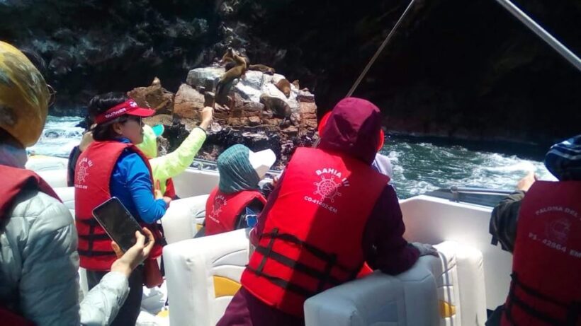 Lima and Nasca : Ballestas -Huacachina-Nasca Lines - The Value Proposition