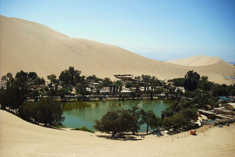 Lima: Ballestas & Huacachina Day Trip w/ Nazca Lines Flight - The Practicalities: What’s Included and What’s Not