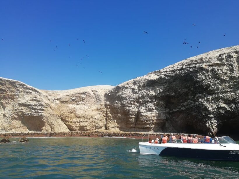 Lima: Ballestas Islands, Winery and Nazca Lines Private Tour - Practical Details and Overall Value