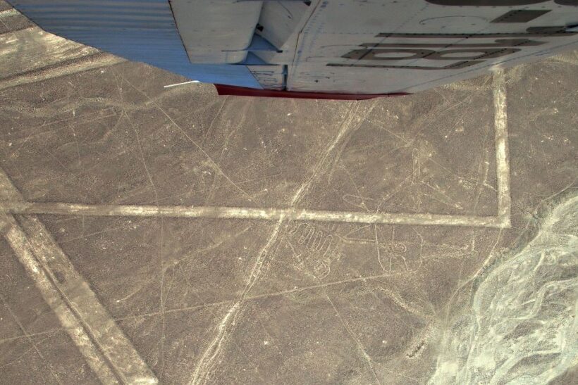 Lima: Ballestas Islands, Winery and Nazca Lines Private Tour - FAQs